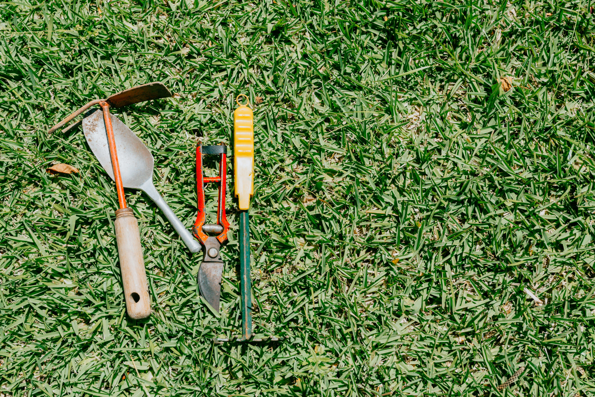 A Guide to the Essential Landscape Tools for Beginners