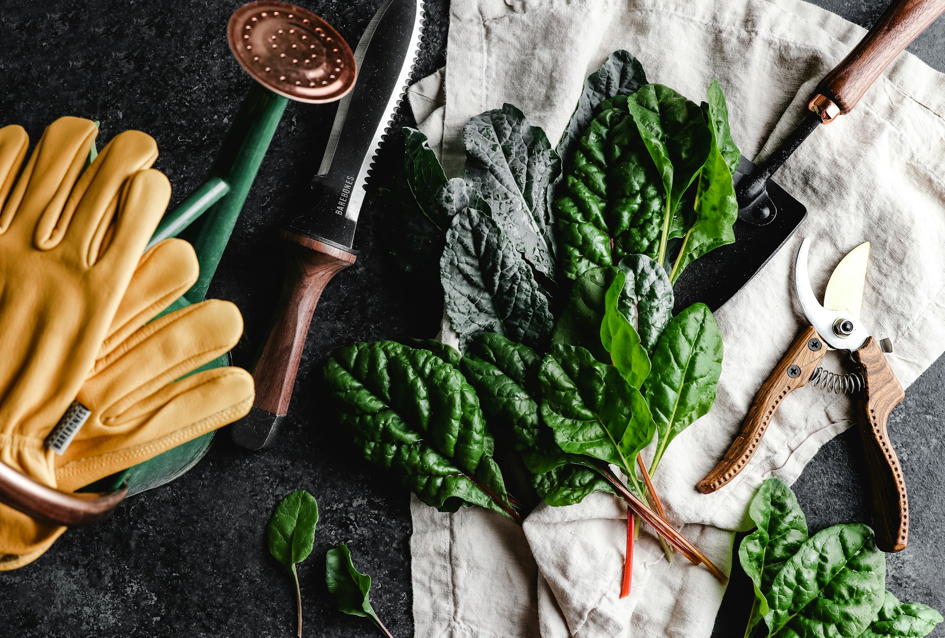 Essential Garden Tools for Your Landscaping Projects