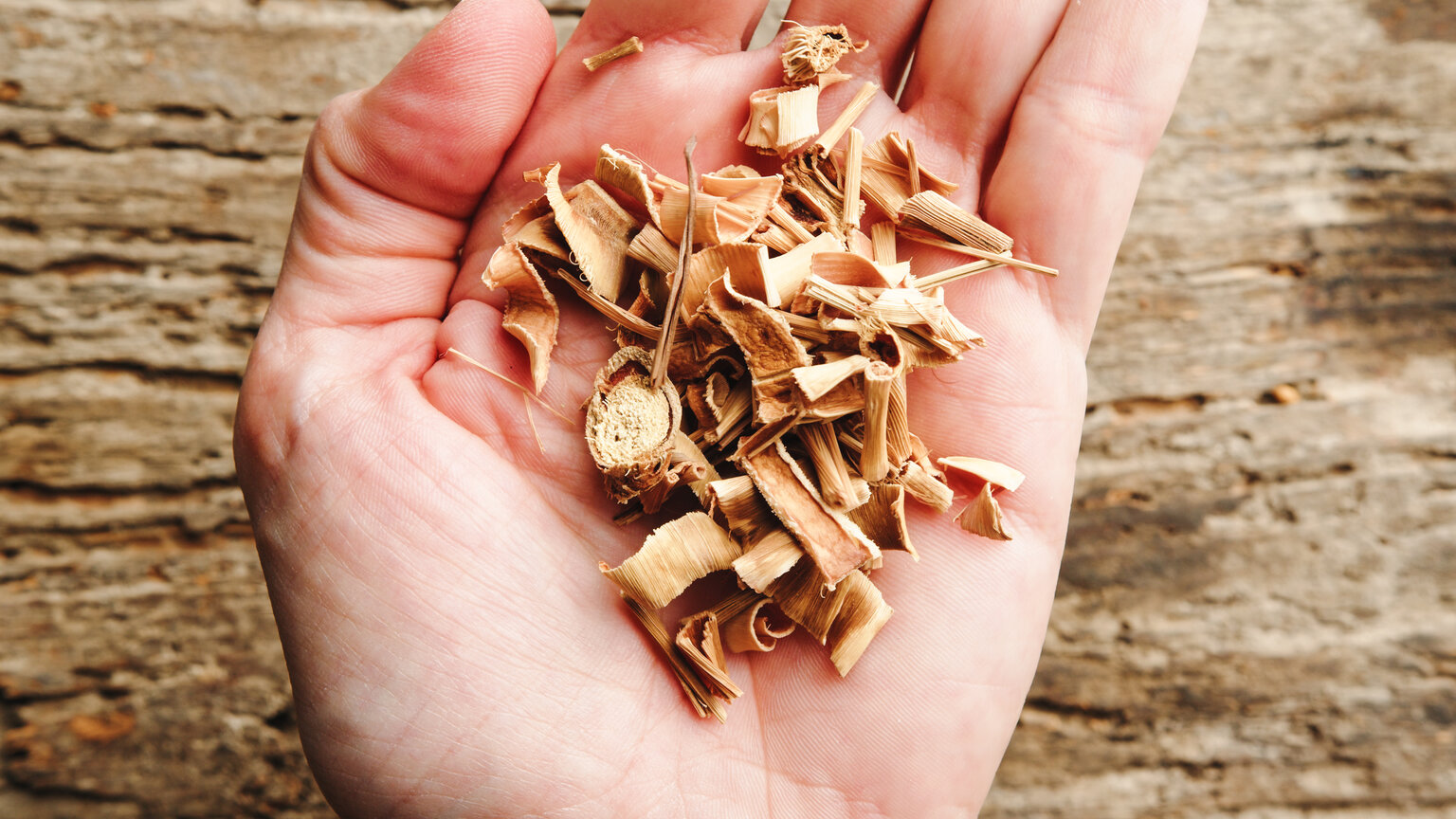 Advantages of Bark Chips for Low-Maintenance Landscapes