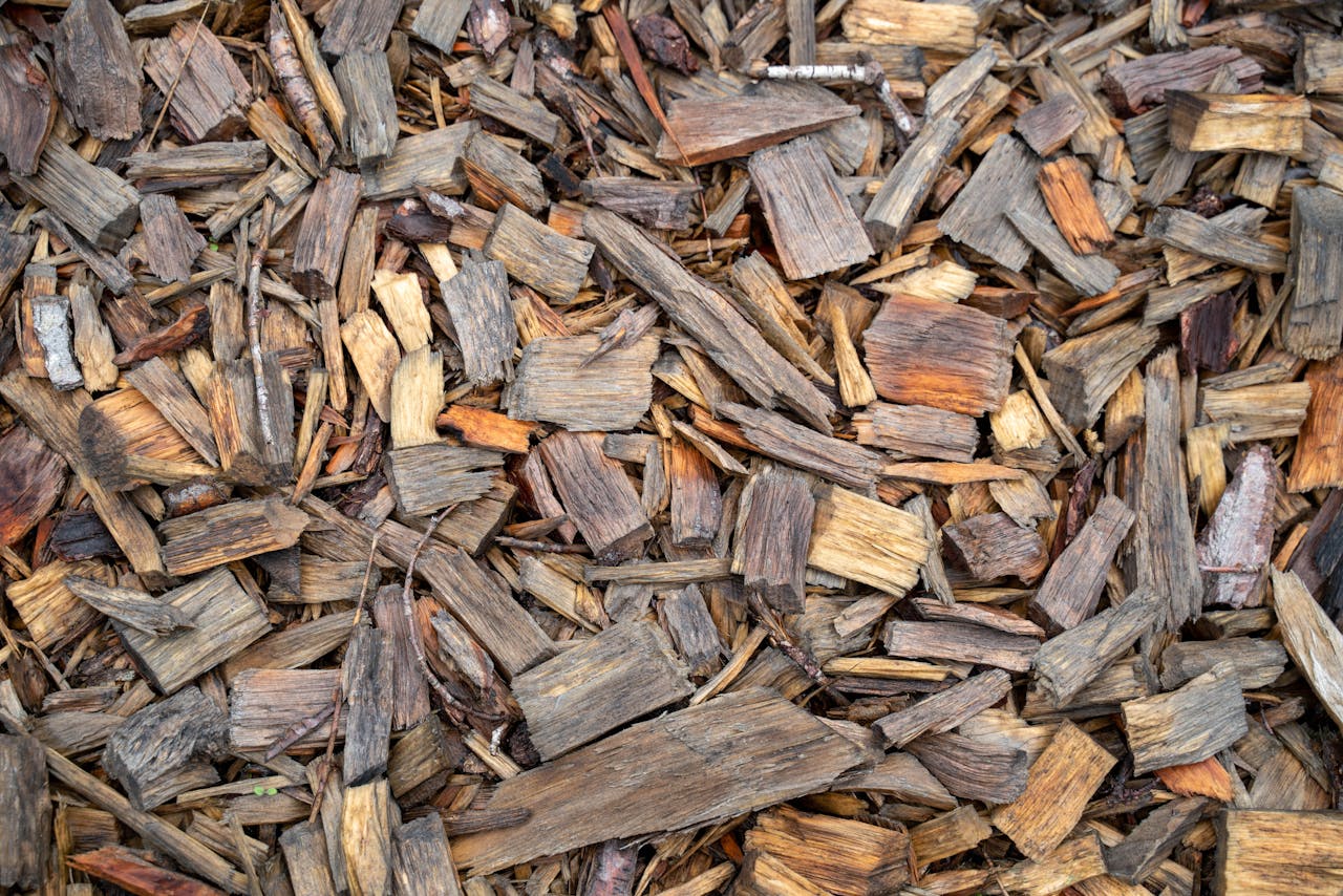 Choosing the Best Bark Mulch for Shoreline Gardens in 2025