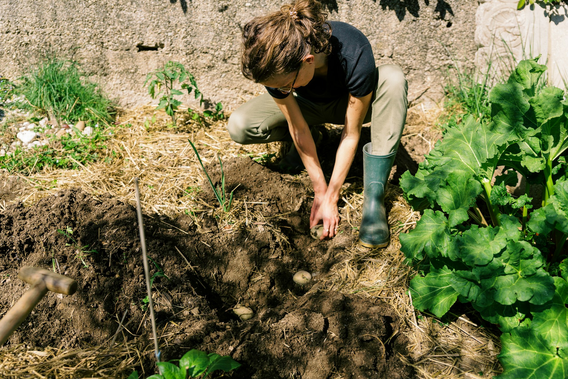Fresh Topsoil: Improve Your Garden's Health